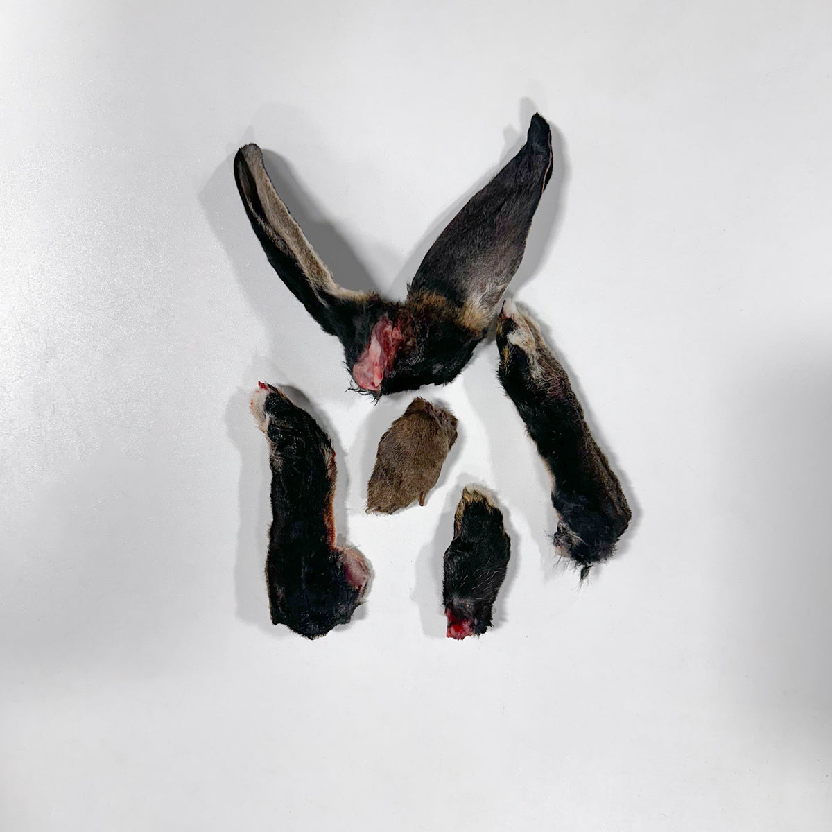 Raw Rations Frozen Rabbit Feet & Ears