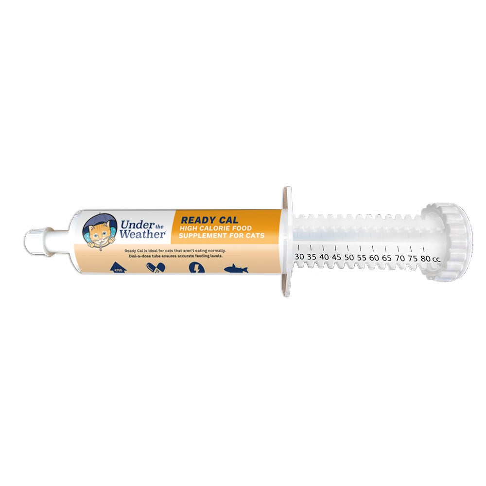 Under the Weather - Ready Cal for Cats 80cc