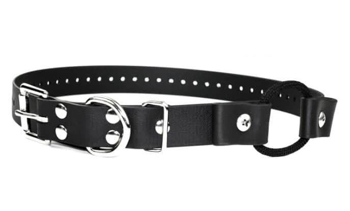 E-Collar 3/4" Quick Snap Bungee Collar