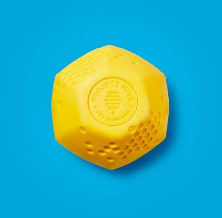 Project Hive Pet Company Ball