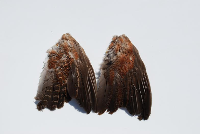 Wild Quail Wings