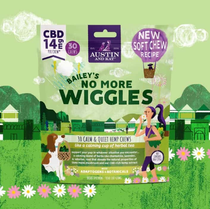 Austin and Kat No More Wiggles Chew